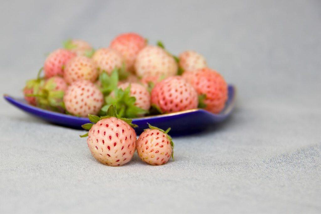 What Do Pineberries Taste Like?