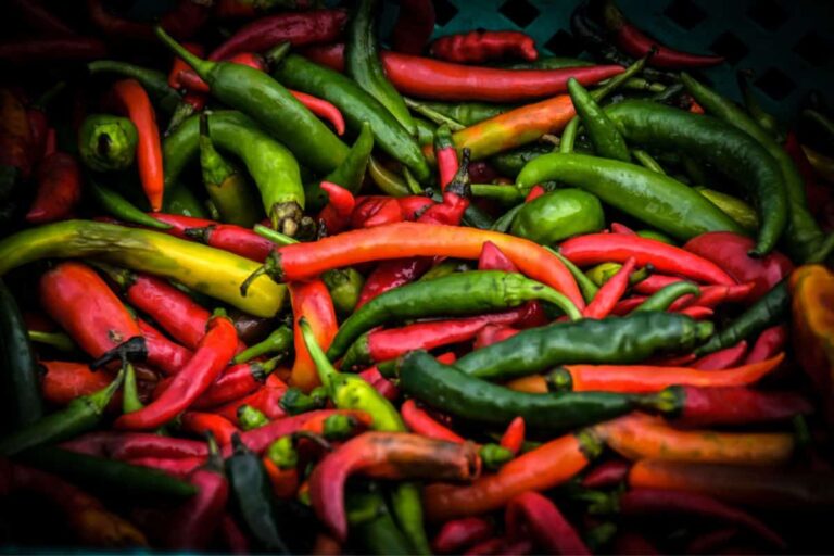 The Ultimate Guide To Growing Serrano Peppers In Pots