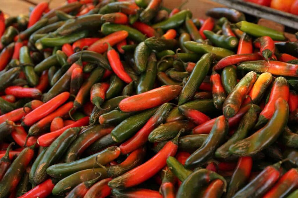 The Ultimate Guide To Growing Serrano Peppers In Pots