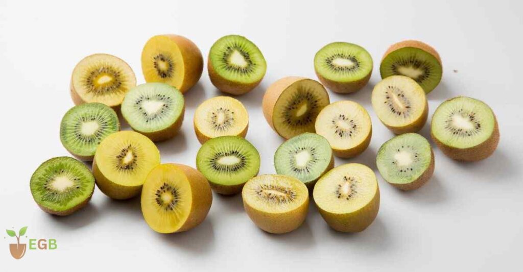 Golden Kiwi Vs Green Kiwi - Evergreen Blooming