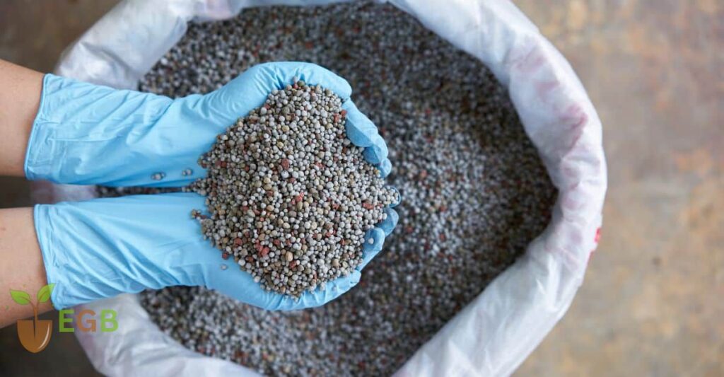 8 Best Organic Fertilizers For Tomatoes