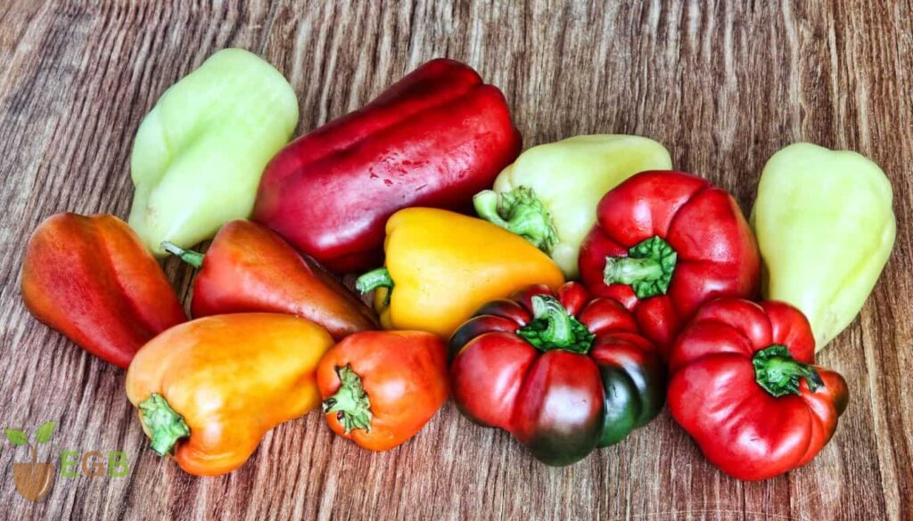 Are Peppers Fruits Or Vegetables? Uncover The Truth