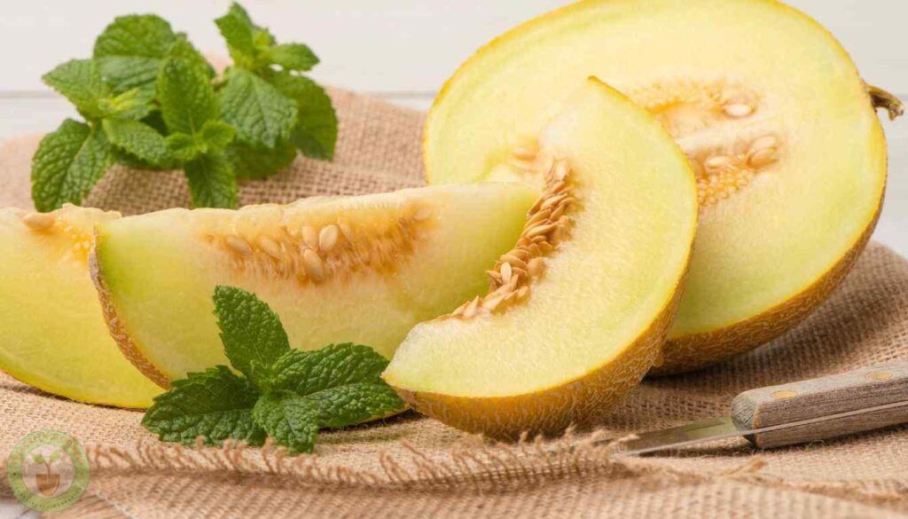 What Is A Galia Melon? Your Guide To This Unique And Flavorful Variety
