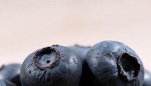 How To Tell If Blueberries Are Bad - A Fresh Guide