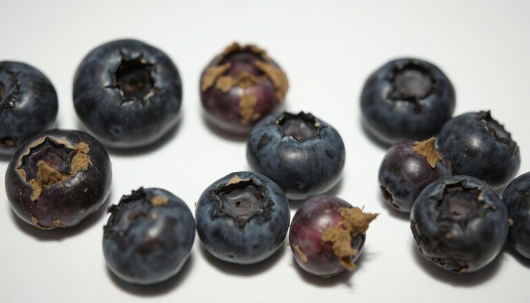 How To Tell If Blueberries Are Bad - A Fresh Guide