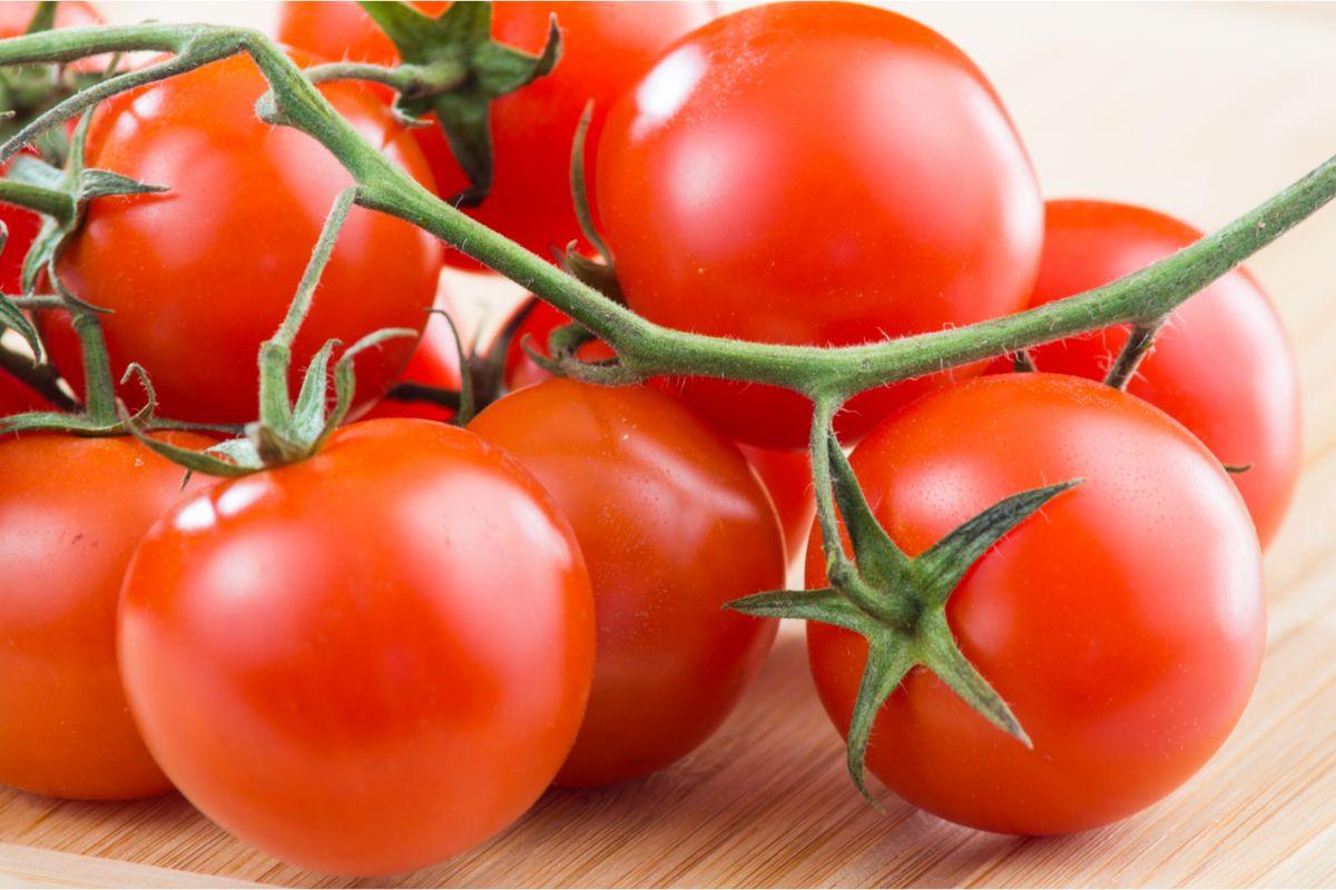How Long Do Cherry Tomatoes Last? - Evergreen Blooming