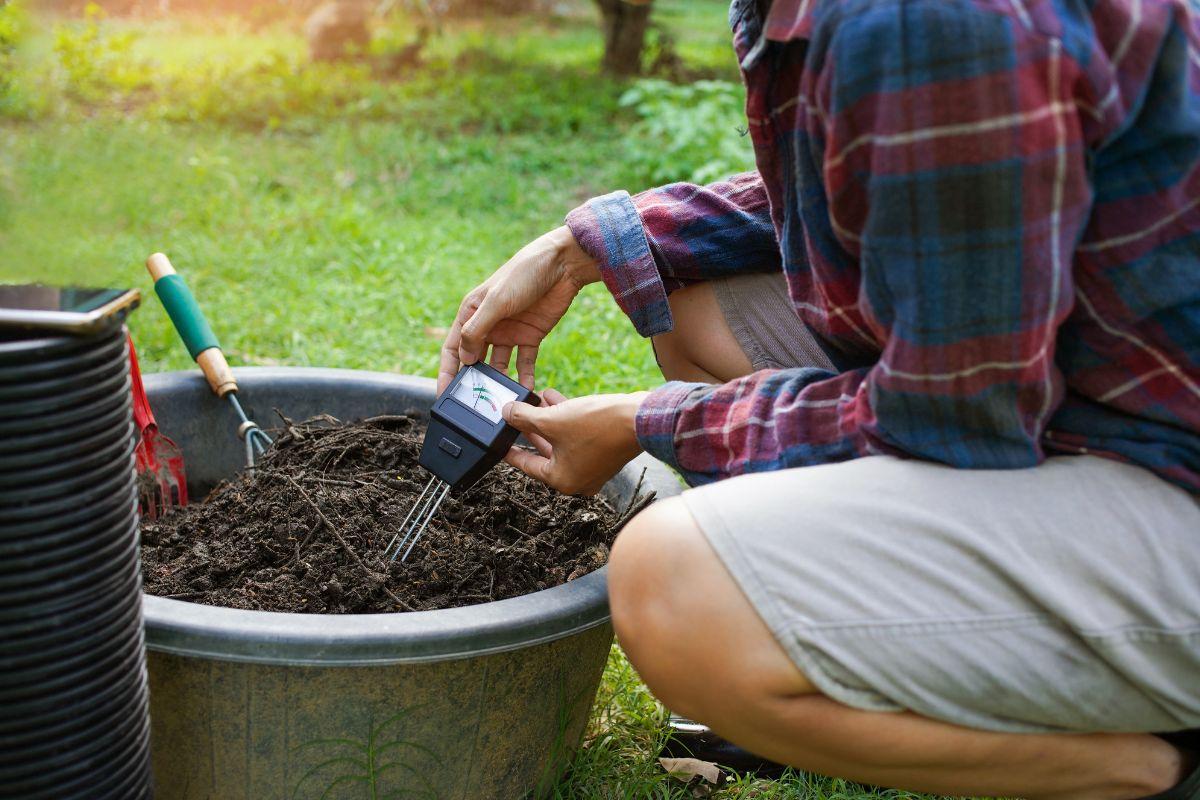 How To Make Soil Acidic For Blueberries - Evergreen Blooming