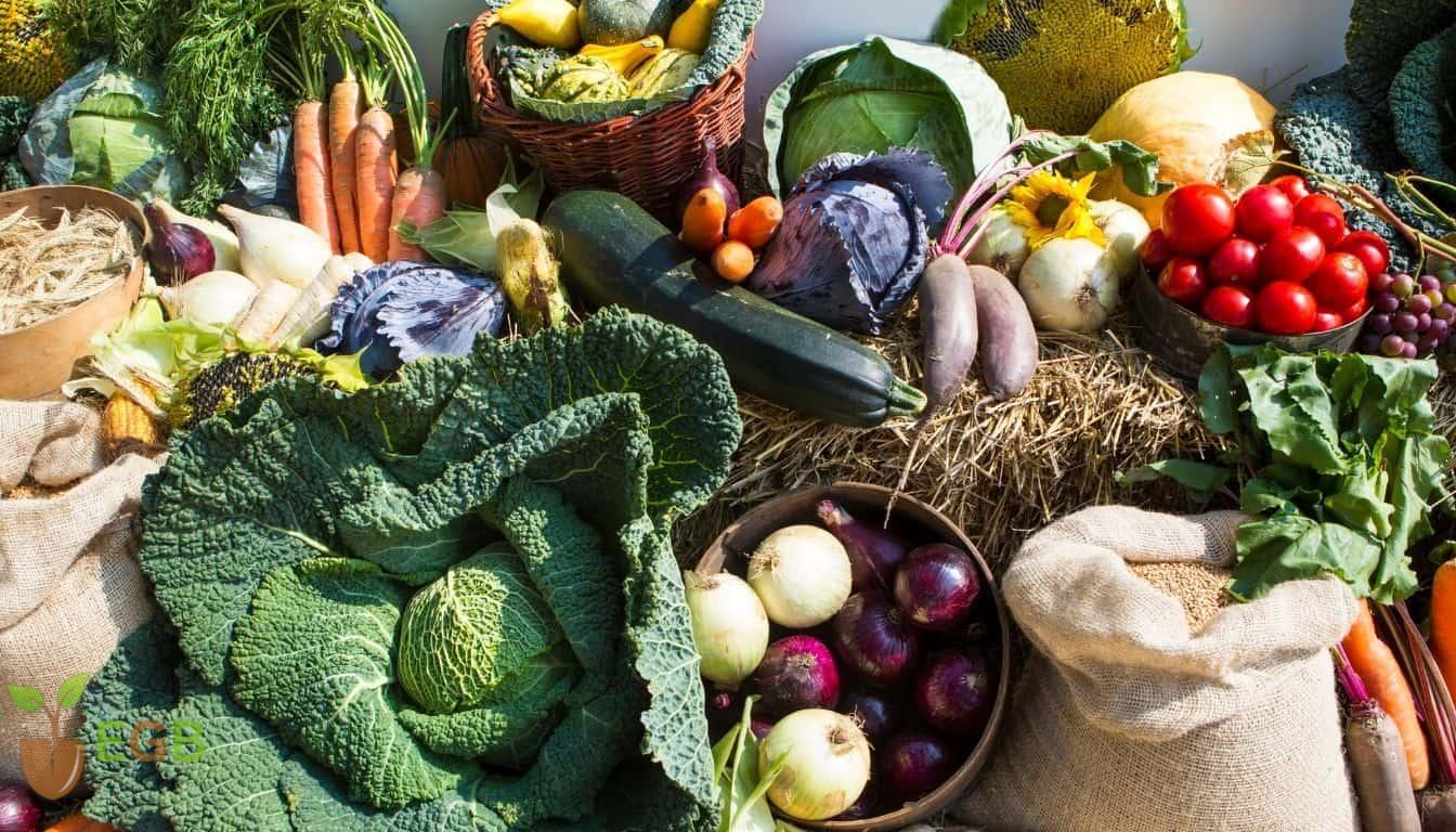 Homestead Gardening: Growing Your Own Sustainable Garden For Food Security