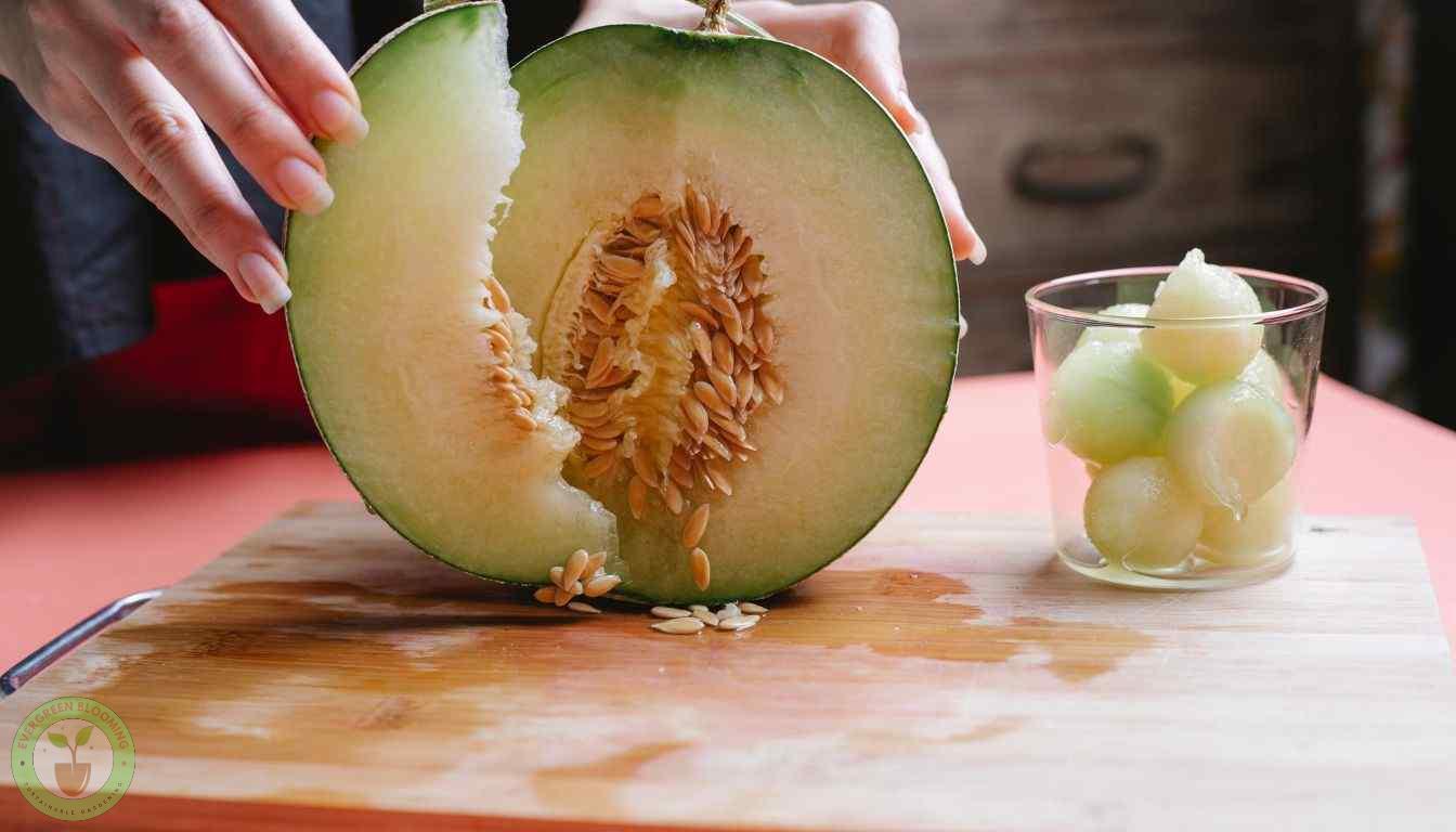 How To Pick A Honeydew Melon - An Expert Selection Guide